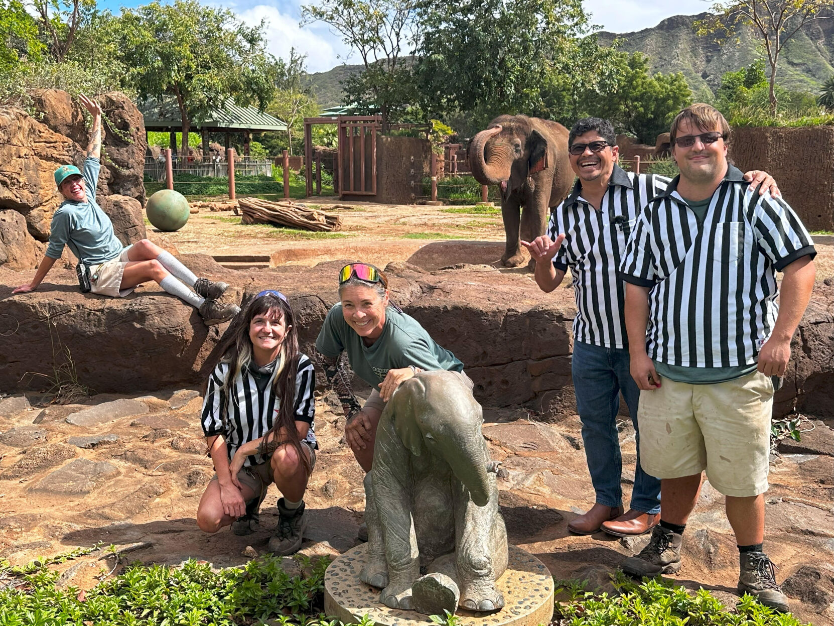 Honolulu Zoo elephants picks Philadelphia Eagles as Super Bowl LIX ...