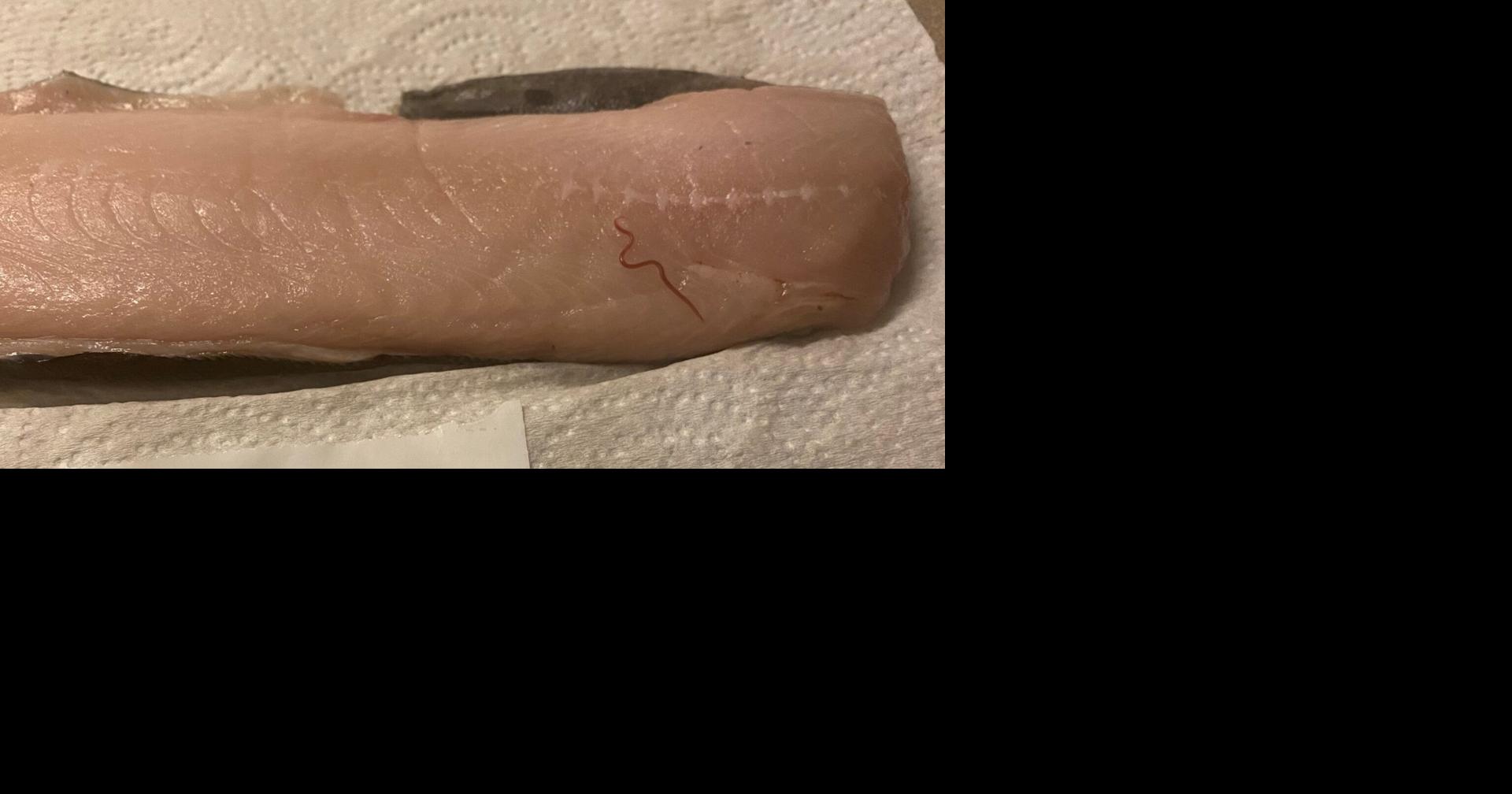 worms in fish fillet