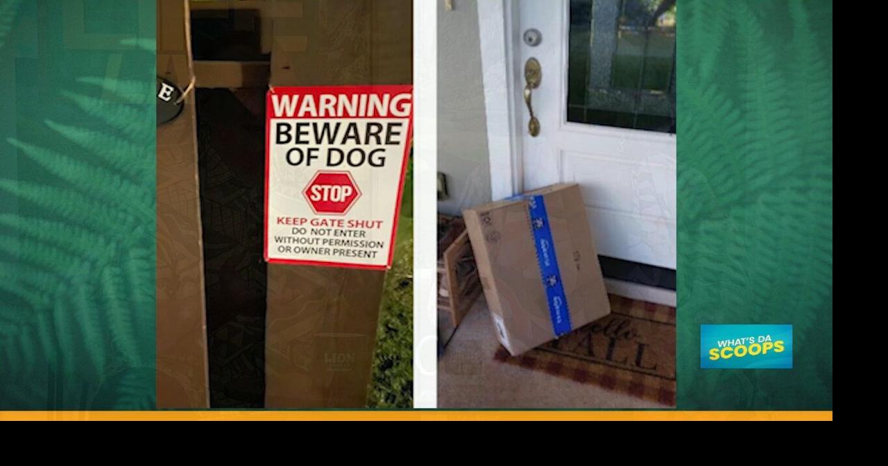 Amazon Prime Ignoring Warning Signs? One Customer's Frustration with ...