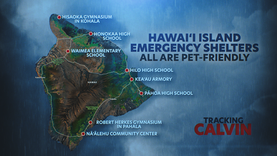 Hawaii Island preparations for Tropical Storm Calvin | Local | kitv.com
