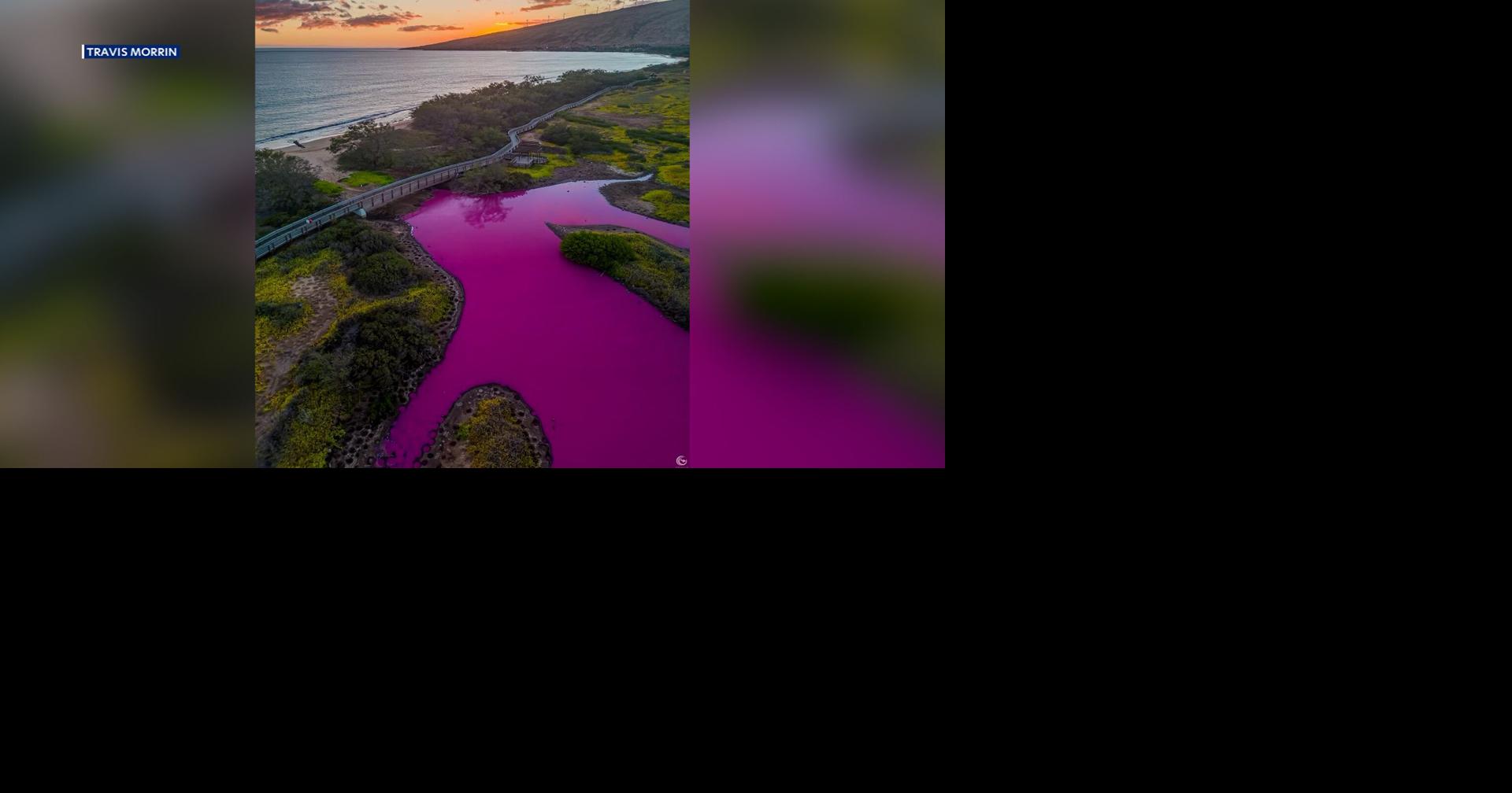 'Never seen that before': Pink pond on Maui ignites flurry on social ...