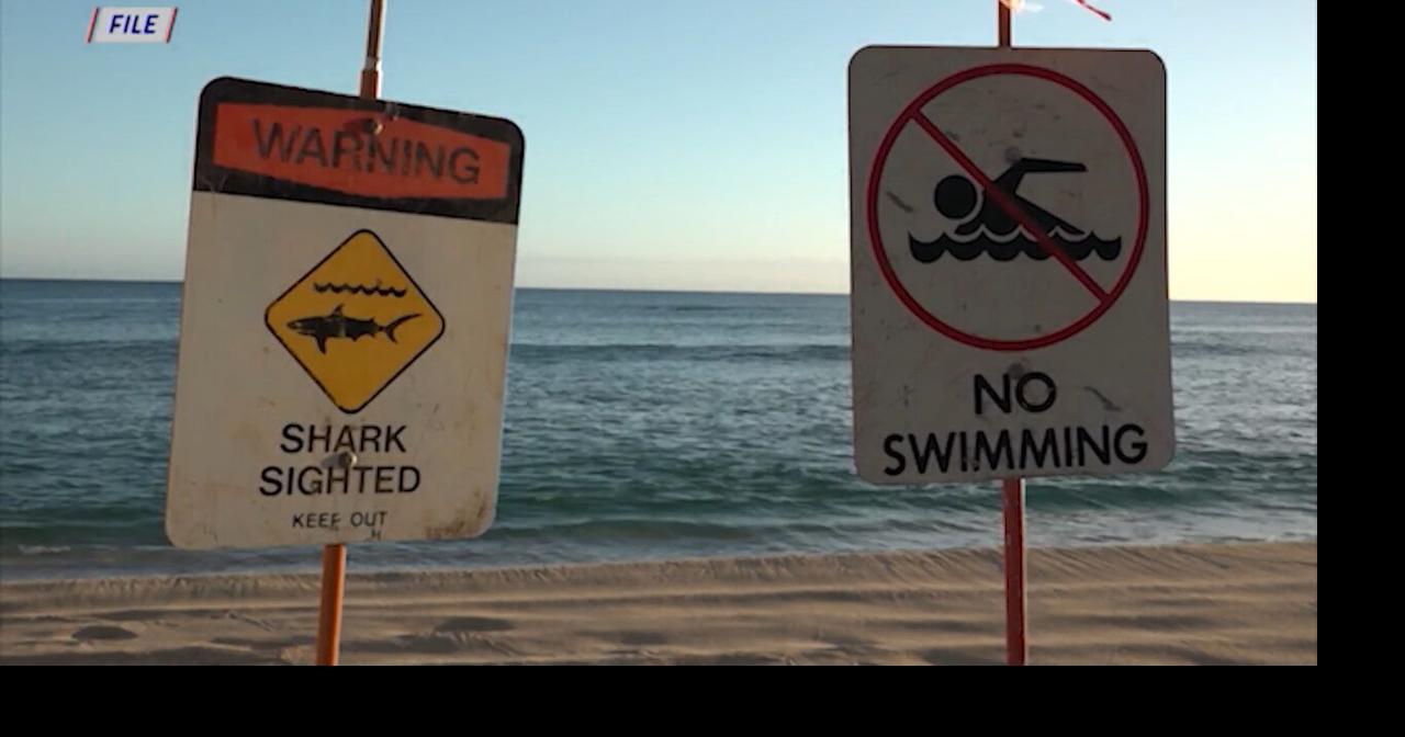 Shark expert weighs in on 'unprecedented' Tiger shark attack at Kewalo ...