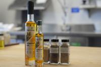 Pongamia Tree What to Know | | kitv.com