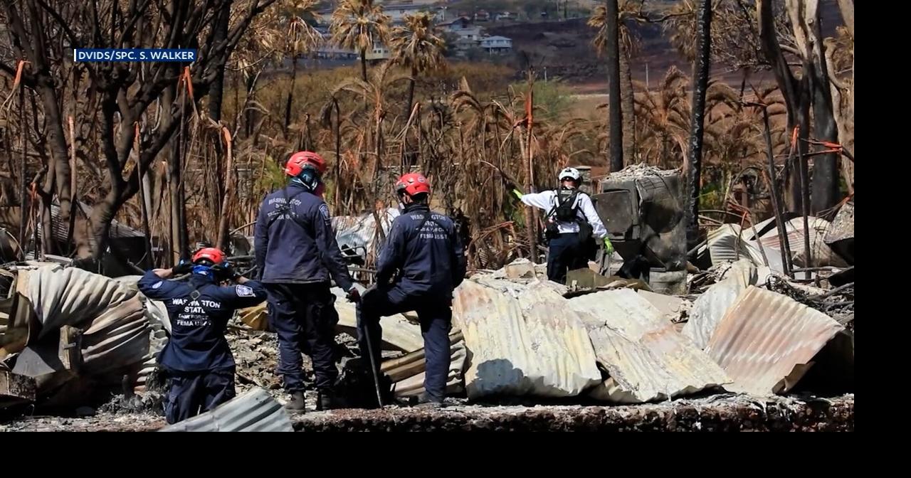 In fire-damaged Lahaina, residents worry about EPA-approved adhesive ...