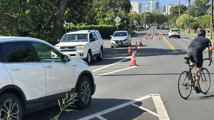 70-foot Bodhi tree removal disrupts Manoa Road for up to 10 days ...