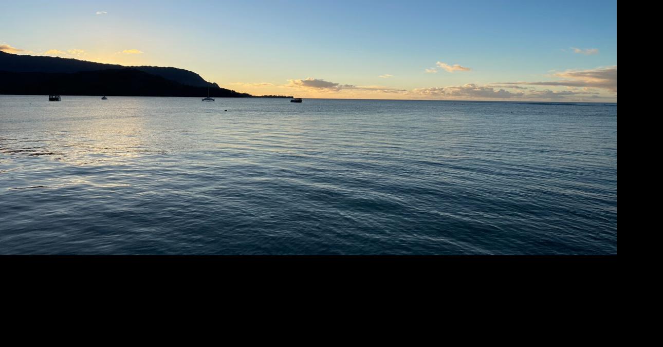 10-foot Tiger Shark sighting closes Hanalei Bay to swimmers | Local ...