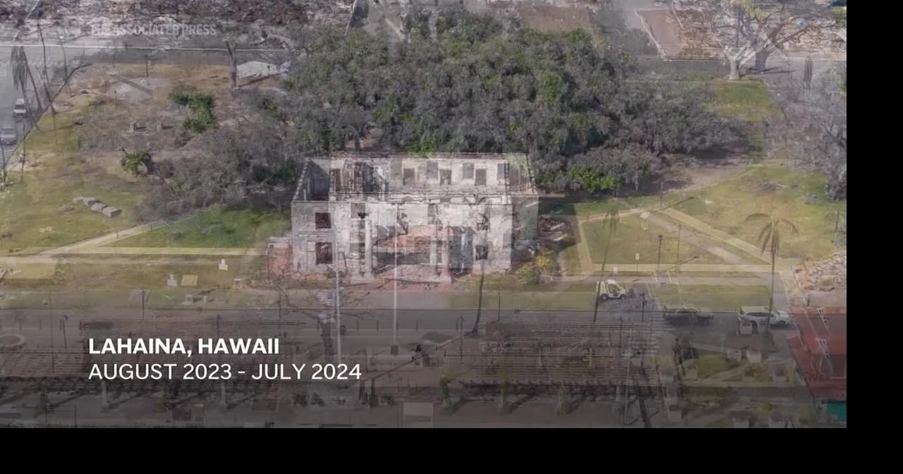 How Lahaina's more than 150-year-old banyan tree is coming back to life after devastating fire ...