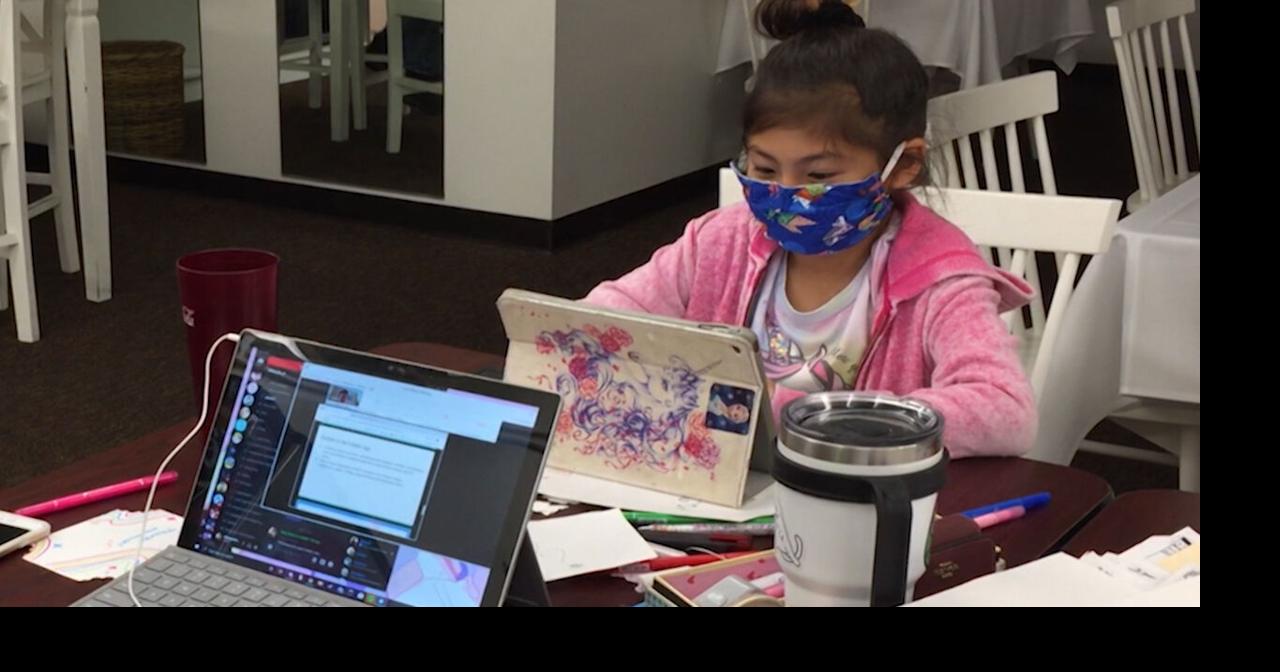 DOE shares plan for K-12 virtual school, some say they need more ...