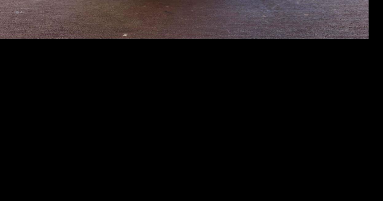 Ewa Beach Bulldog Shot with BB Gun Multiple Times | Crime & Courts ...