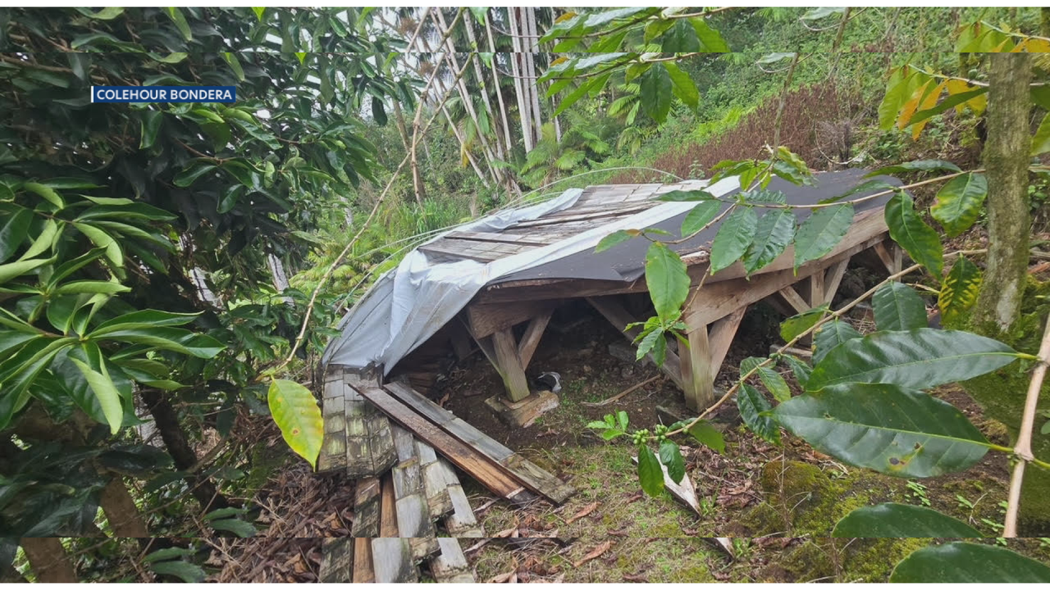 Farmers in Kona calls for action by county after Big Island Earthquake ...