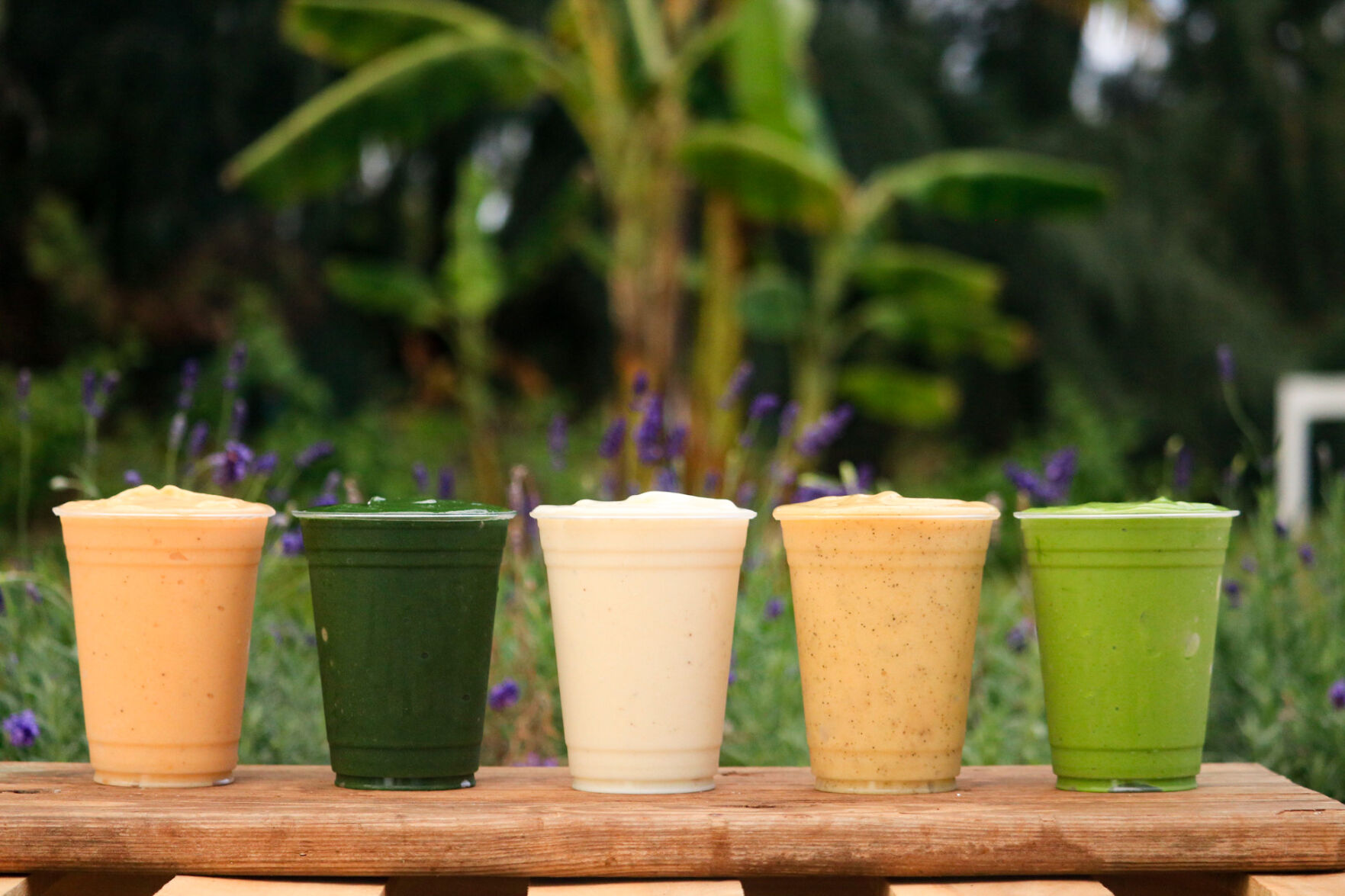 Kahuku Farms wins national award for farm-to-table excellence | Business | kitv.com