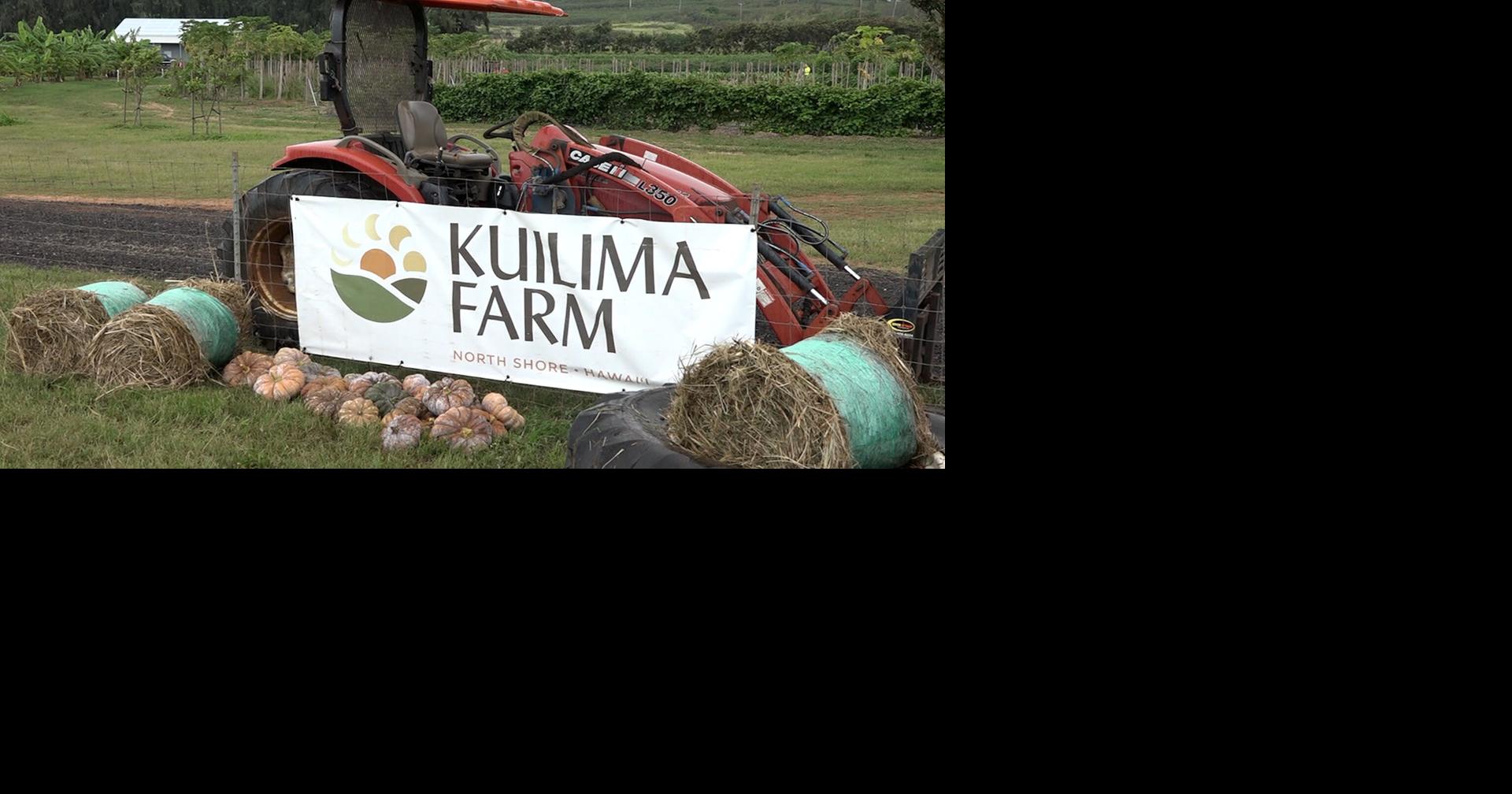 Kuilima Farm looks to increase local produce distribution with new USDA ...