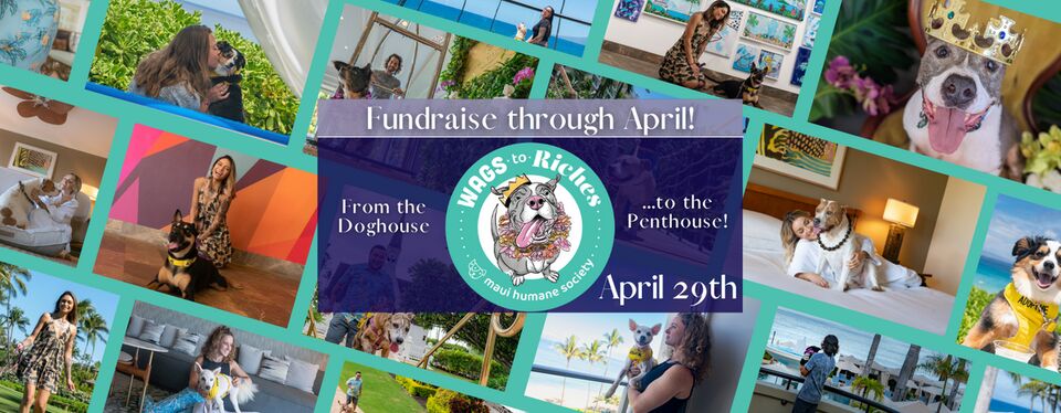 From doghouse to penthouse: fundraising for Maui Humane Society's Wags ...