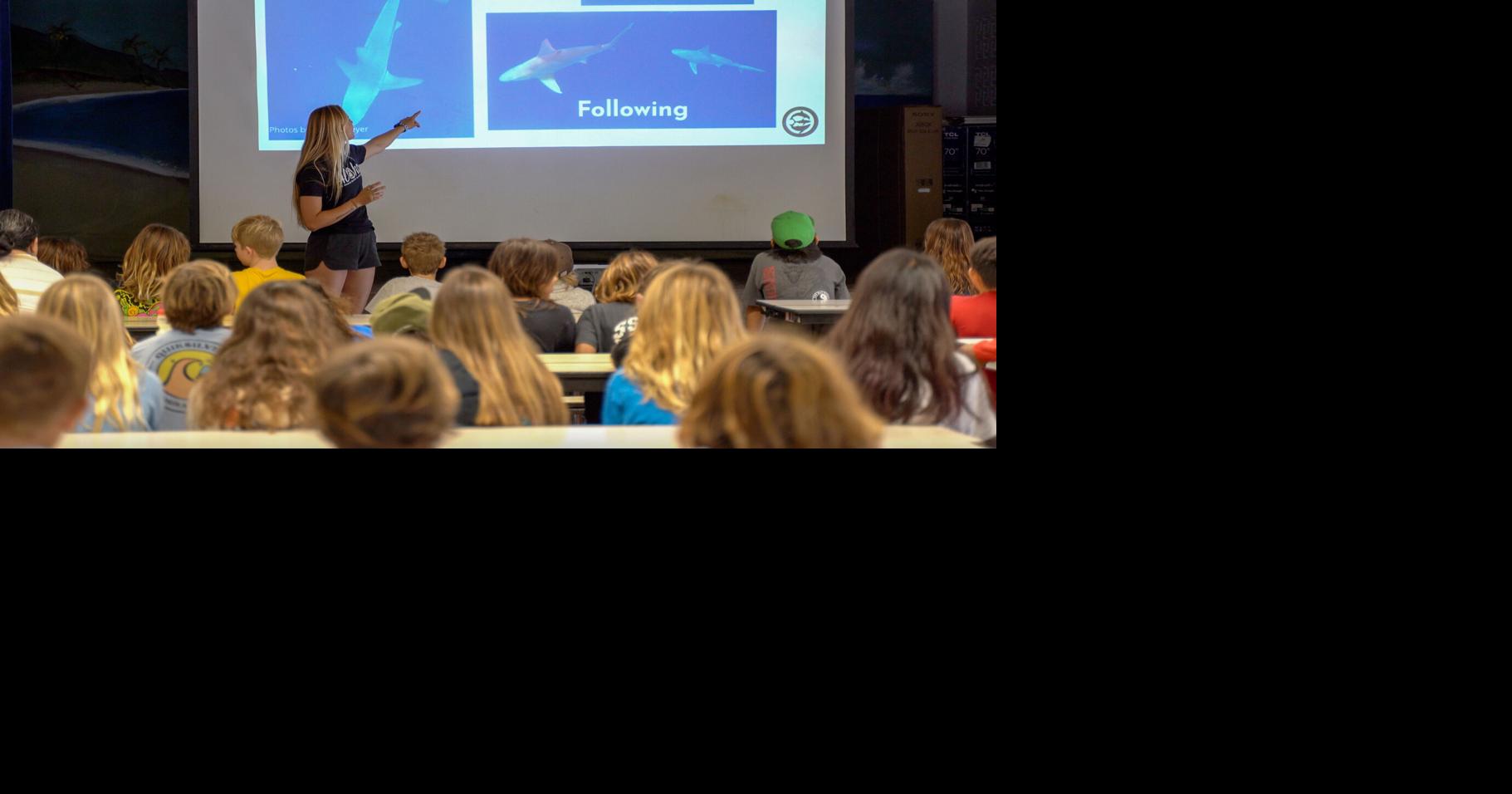 Cultivating a new generation of shark and ocean enthusiasts | Local ...