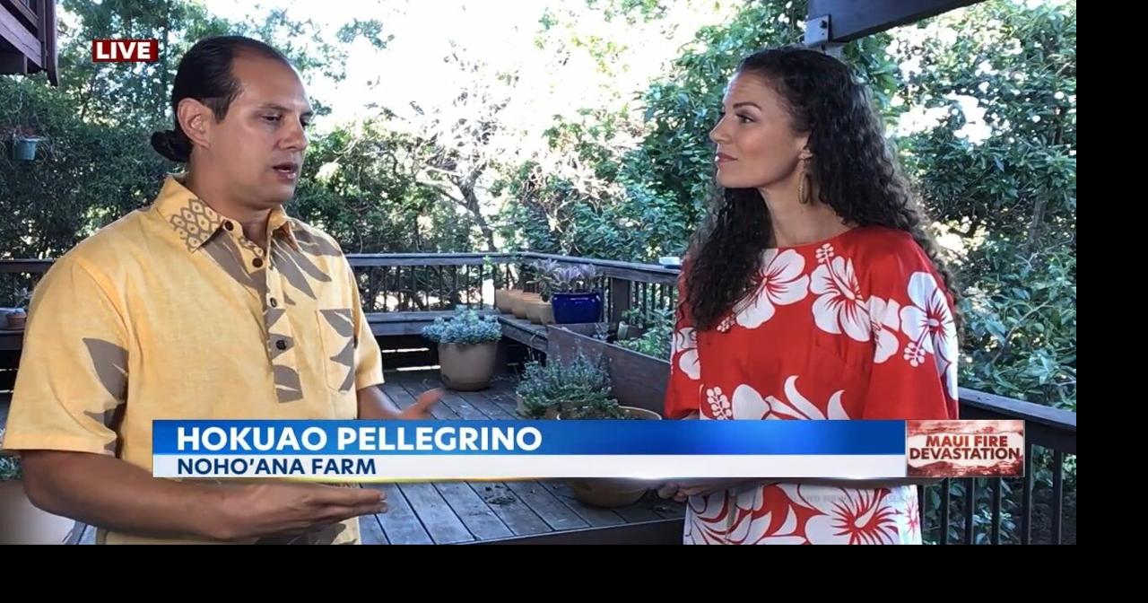 Maui arborist and farmer highlight significance of old growth trees ...