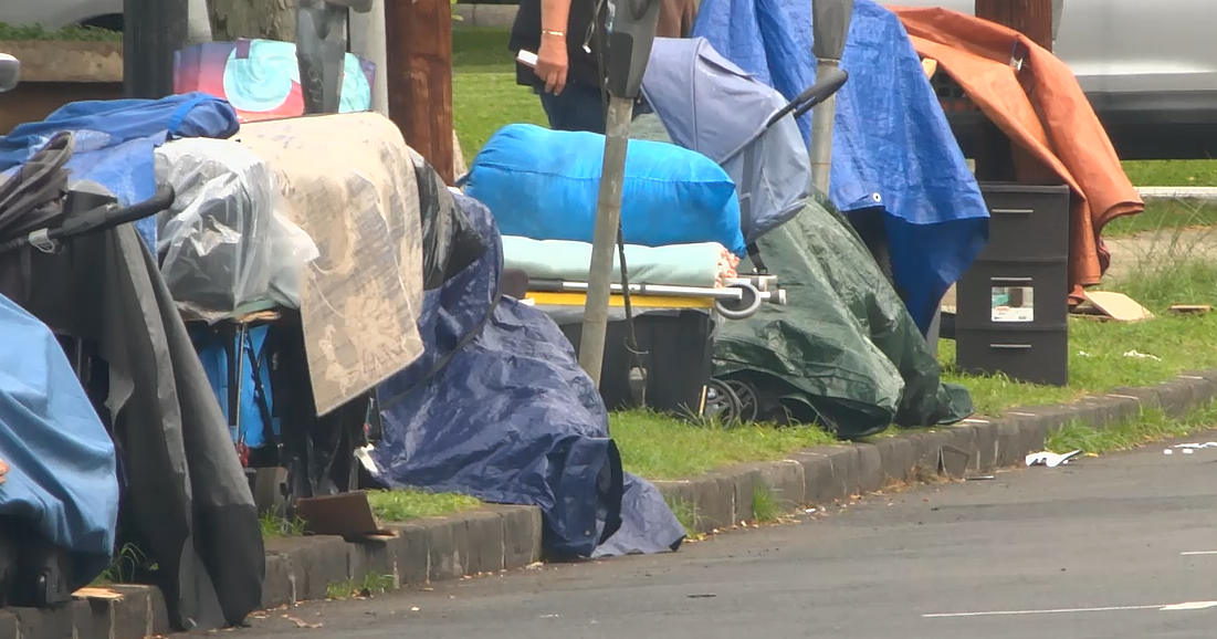 Point In Time 2024: A census of those experiencing homelessness in ...