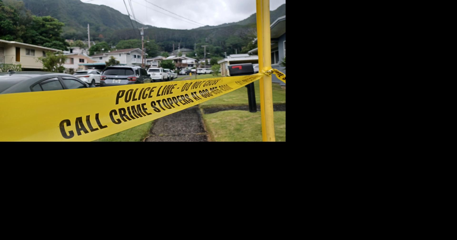 Manoa father accused of stabbing family to death plotted for months ...