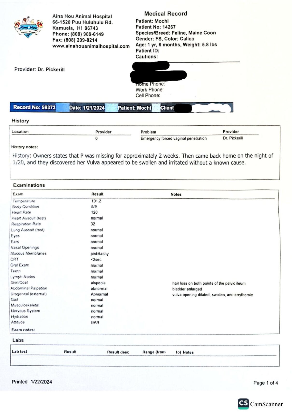 Police investigating report of pet cat being sexually assaulted on Big ...