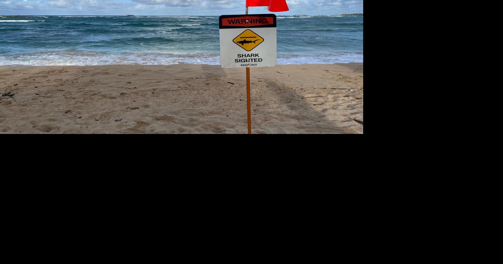Shark Advisory issued after non-aggressive 6-foot shark spotted at Pokai Bay | Local | kitv.com