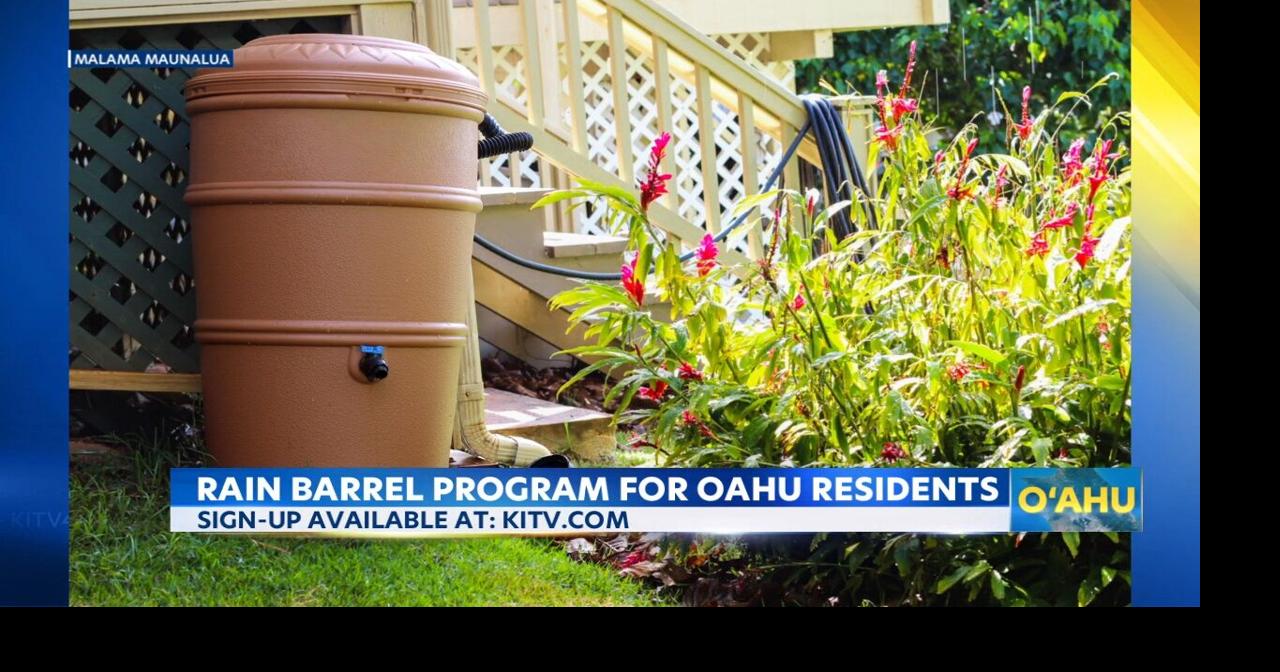 Oahu launches free program to reduce flooding, pollution | News | kitv.com