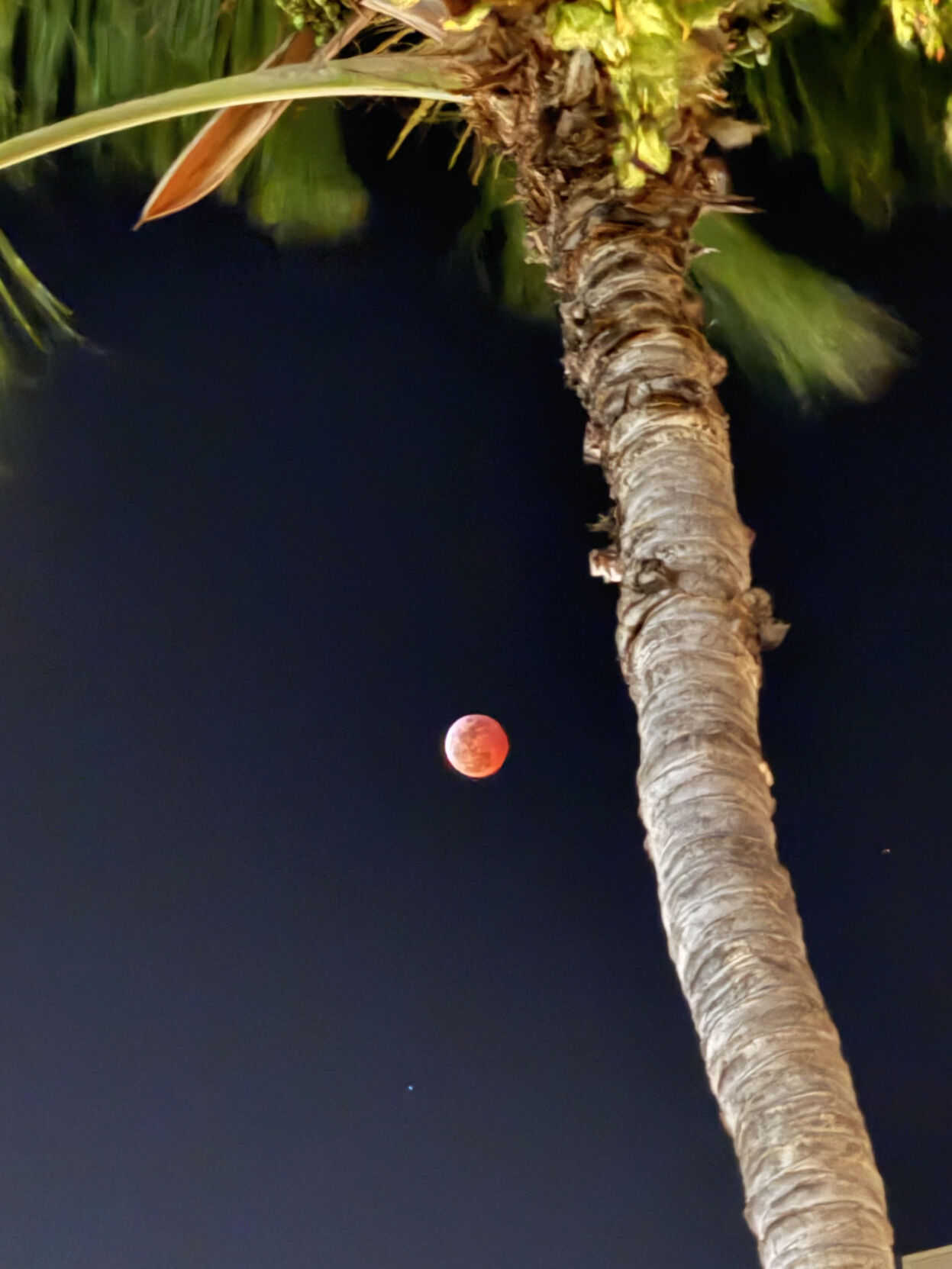 Photo Gallery: Blood Moon in Hawaii | | kitv.com