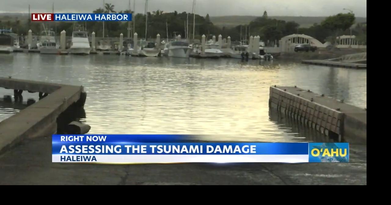 Assessing tsunami damage at Haleiwa Harbor Pt.1 | News | kitv.com