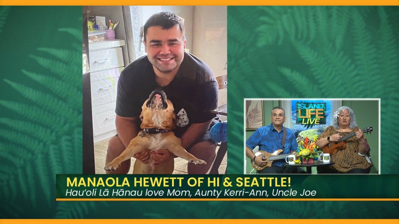 Island Life Live | kitv.com