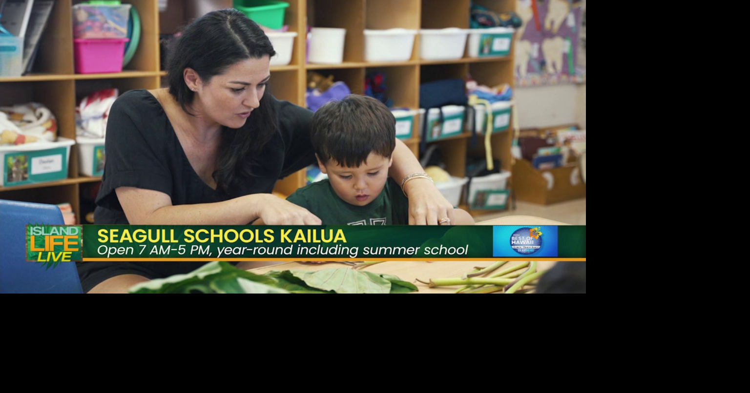 2024 Best of Hawai'i: Seagull Schools | Island Life Live | kitv.com