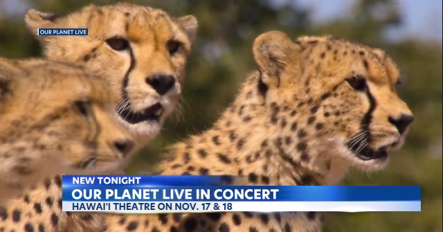 Promo code for "Our Planet" live orchestral concert this weekend ...