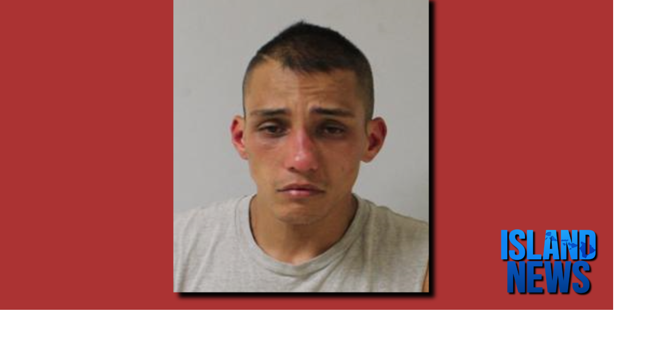 Hilo man facing slew of drug, weapons charges following traffic stop in ...