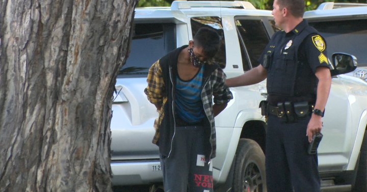 Hawaii Supreme Court ruling on serious felony cases causing chaos in ...