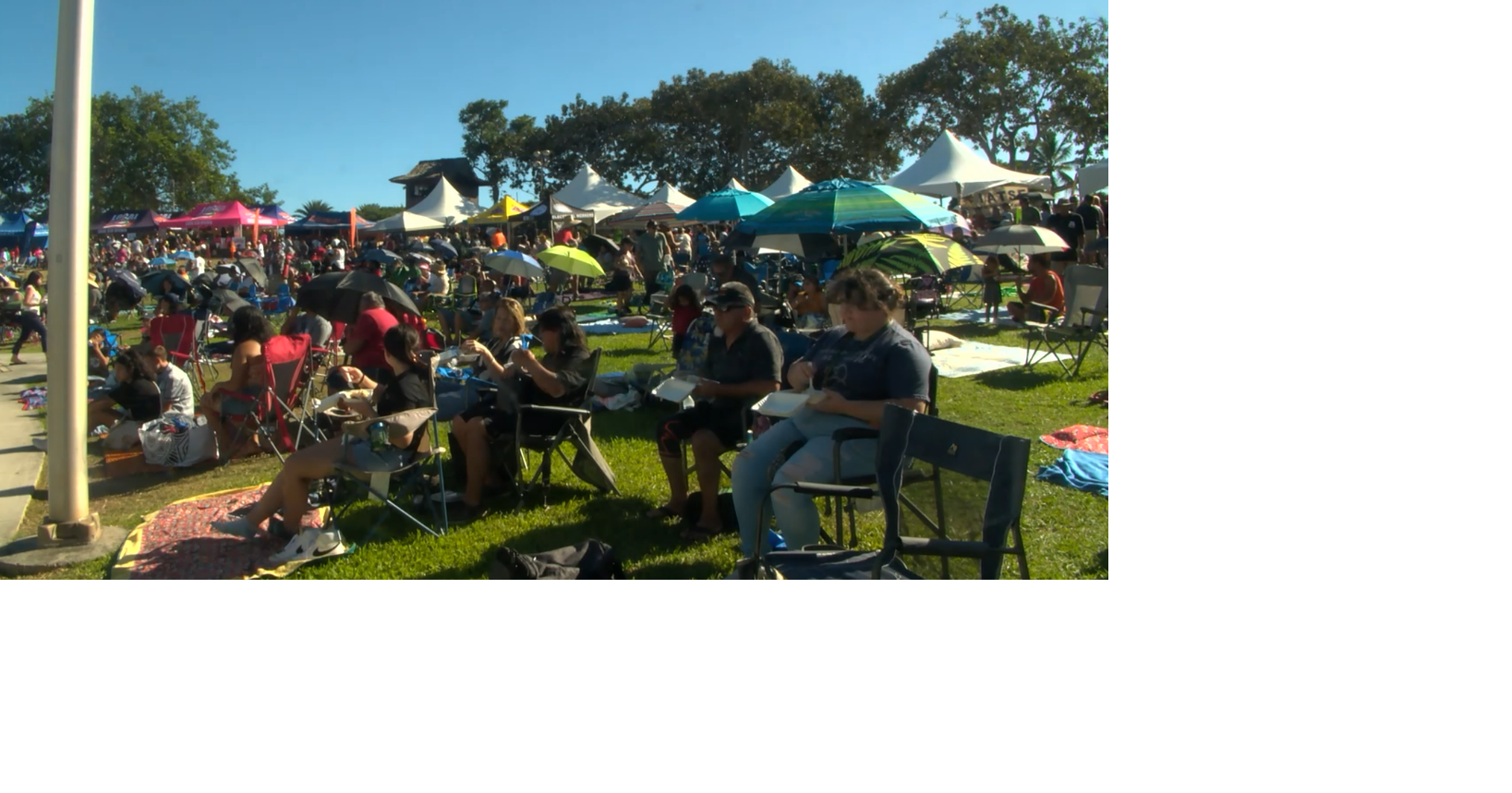 Labor Day Unity Picnic resumes in 2022 | Business | kitv.com