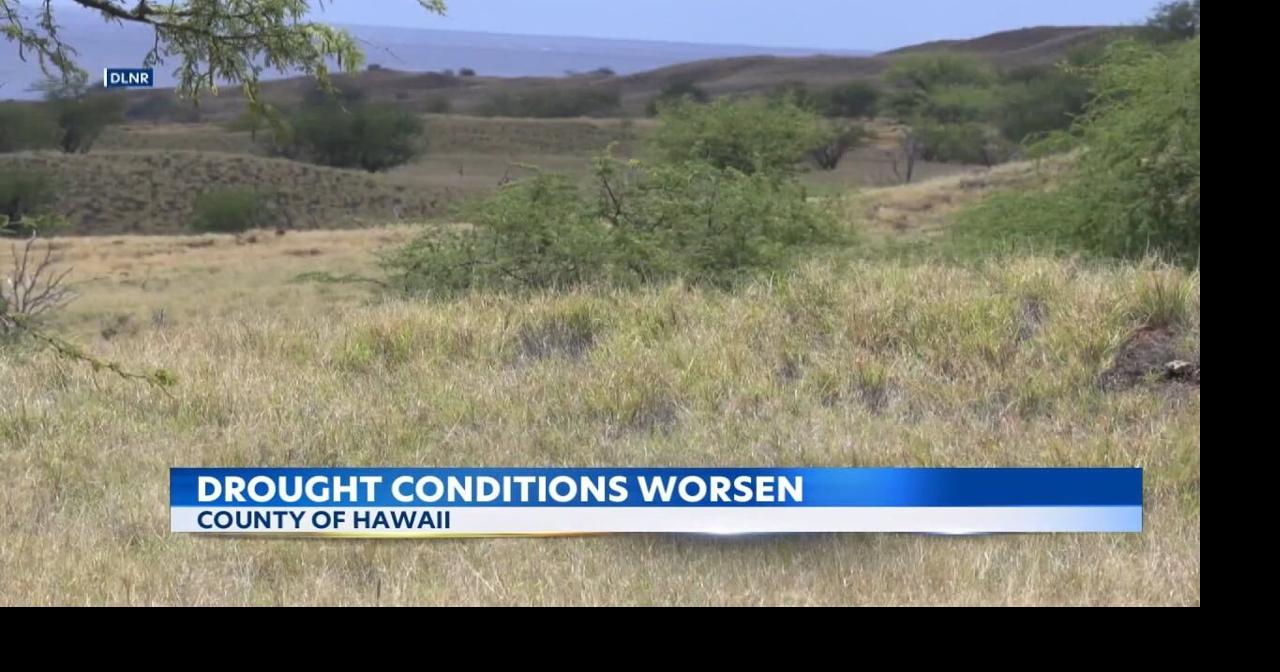 Hawaii Island battles escalating drought crisis across multiple regions ...