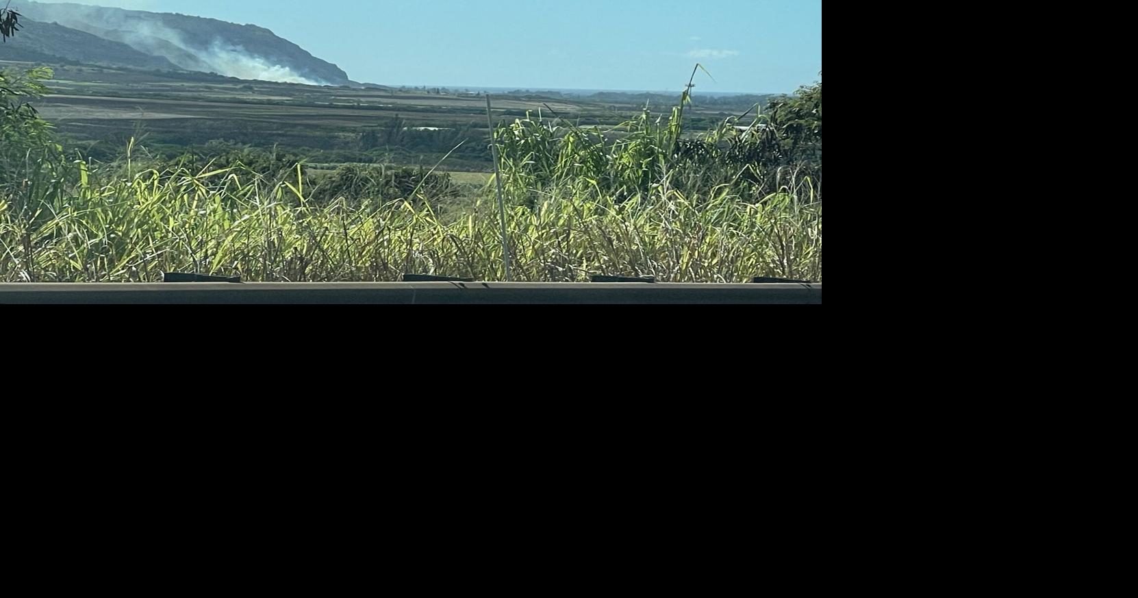 Dillingham Air Field Fire 95% contained | Local | kitv.com