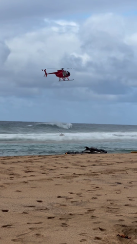 Kalalau Helicopter Crash | | kitv.com