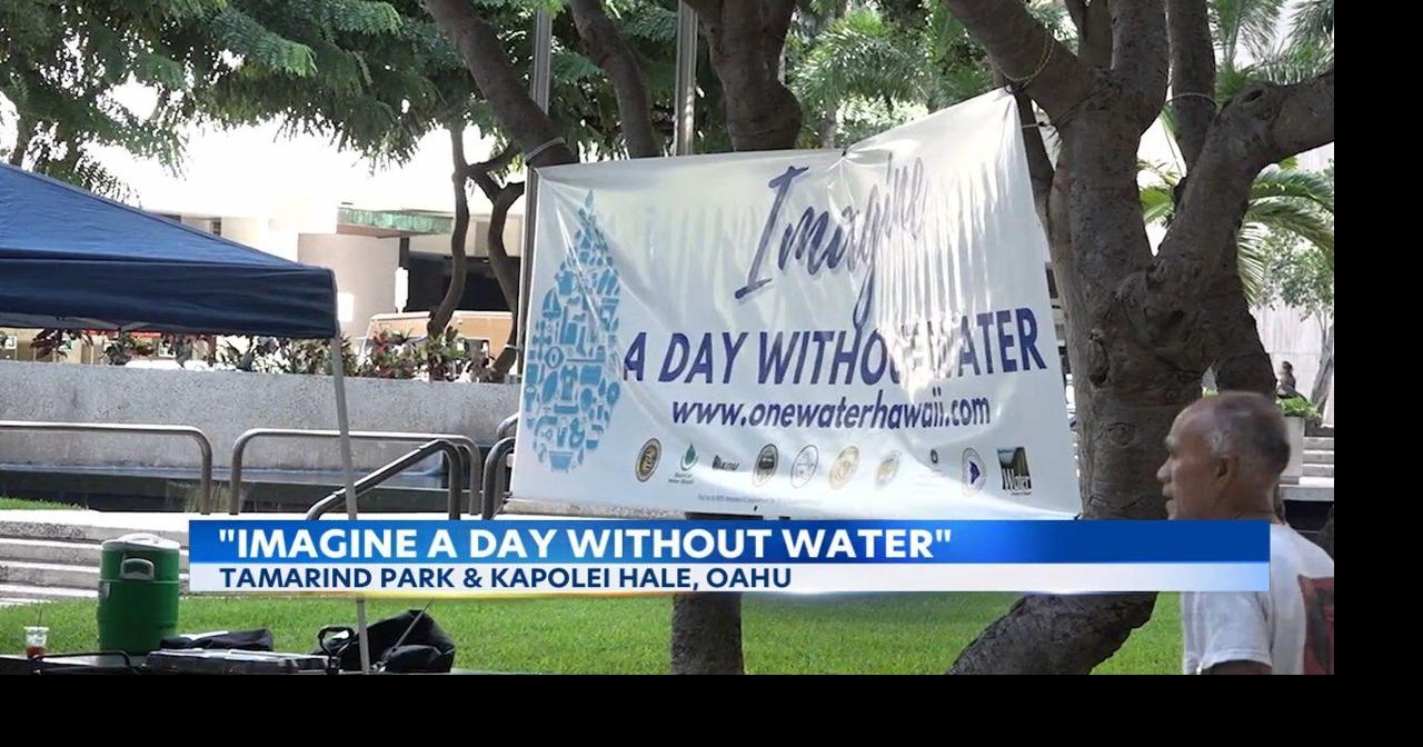 Hawaii agencies recognize National "Imagine a Day Without Water".. as ...