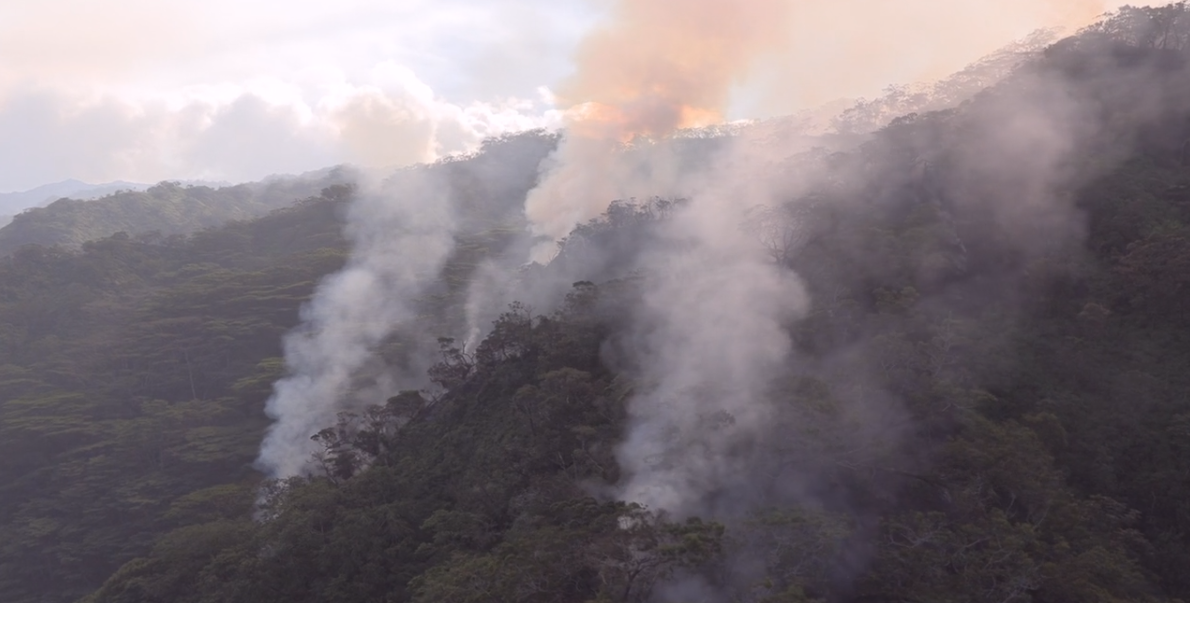 Mililani Mauka fire increases to 800 acres in size | News | kitv.com