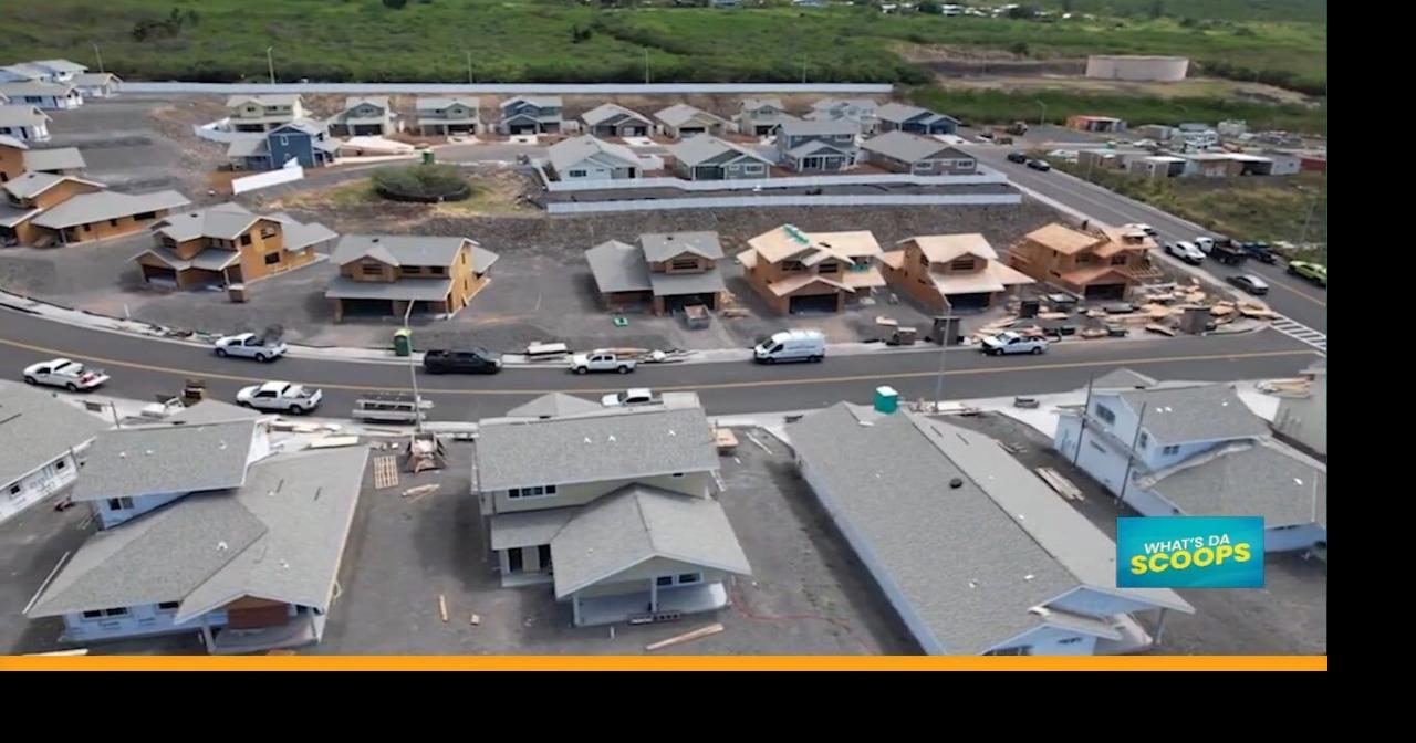 What’s Da Scoops with Hawaiian homestead land on Hawaii island?? | Island Life Live | kitv.com