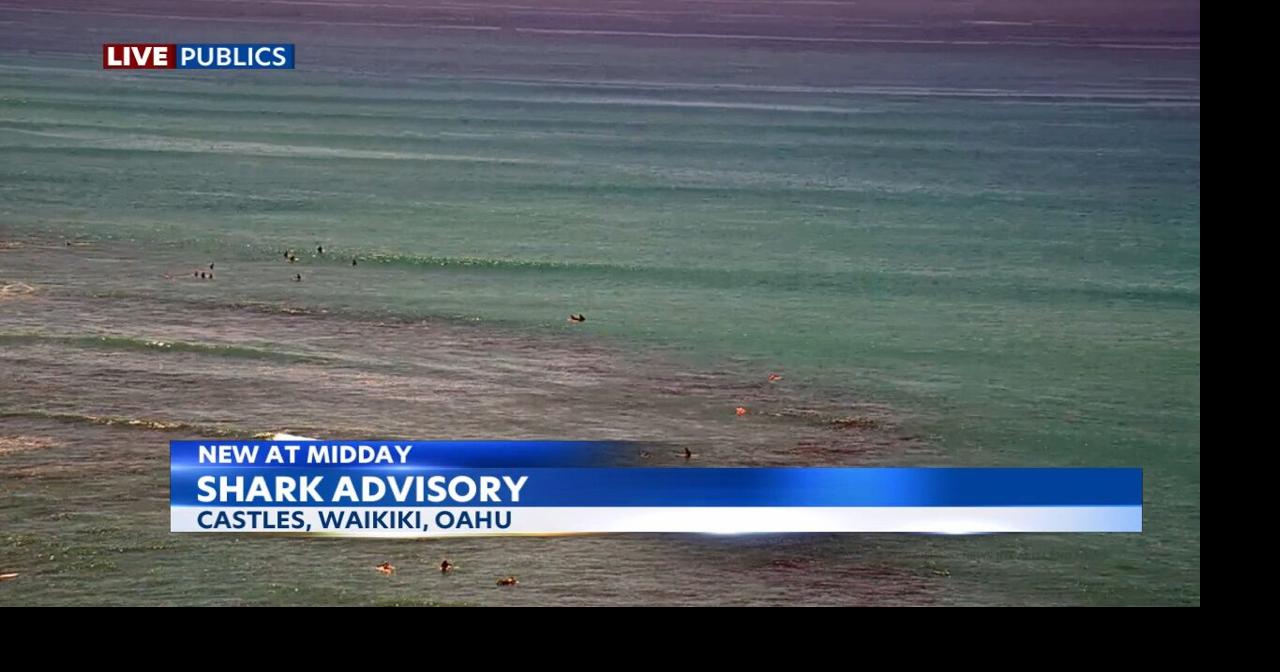 6-foot shark spotted swimming off popular Waikiki beach; Advisory ...