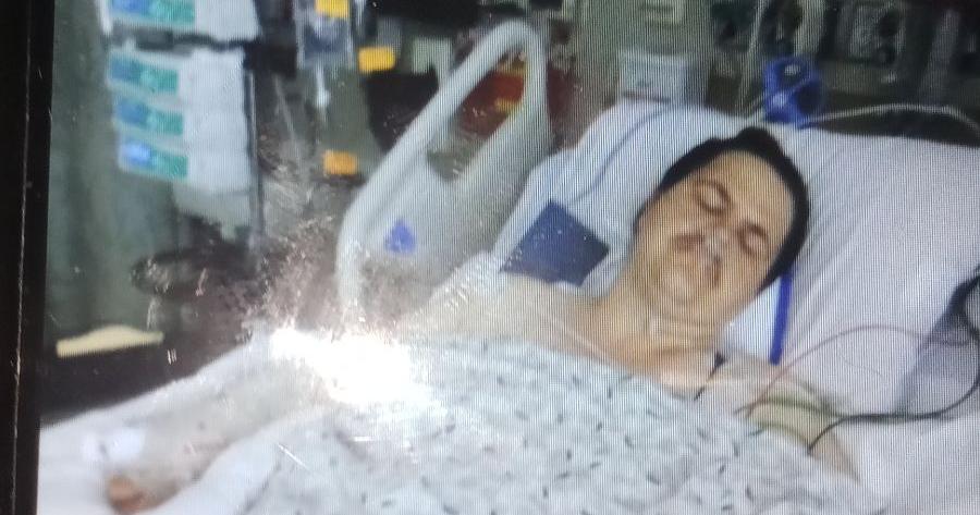 Puna dog attack victim in ICU; dog owner charged with felony | Crime ...