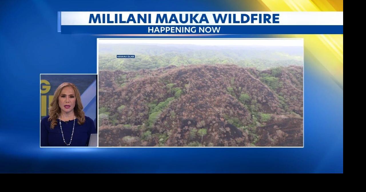 Mililani Mauka wildfire 90% contained, 1,615 acres scorched | News ...