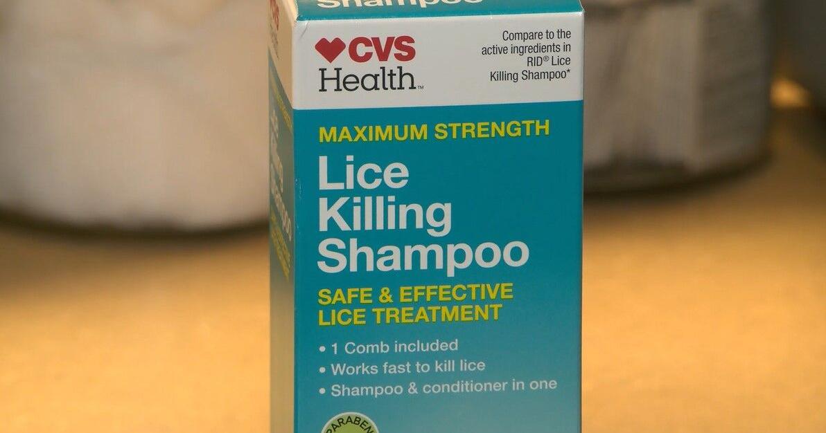 Back-to-school for kids also means higher risk of head lice | News ...