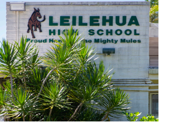 Four arrested for ruthlessly beating up special needs woman near ...