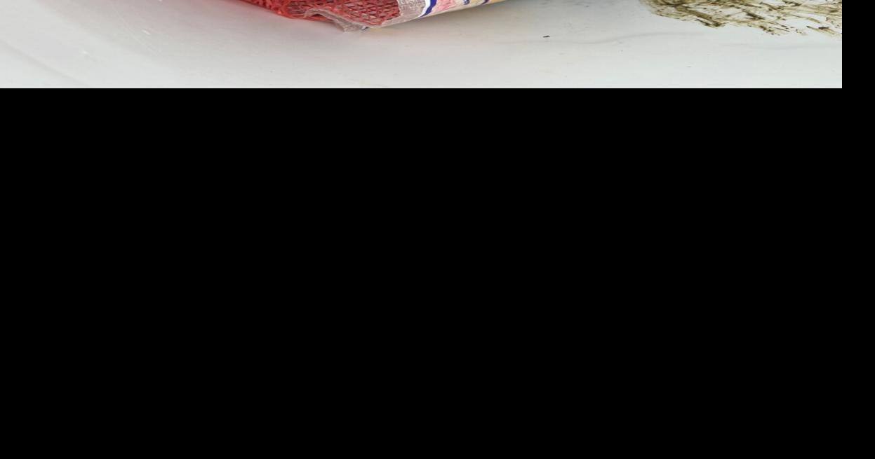 nene gosling | | kitv.com