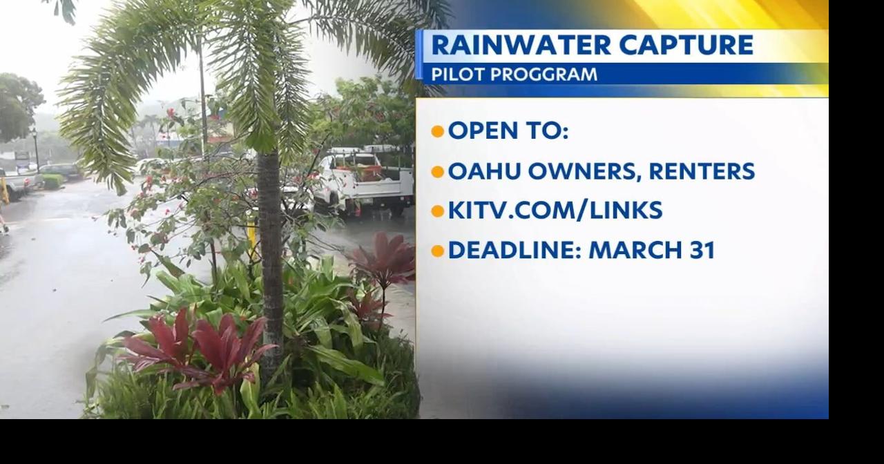 Oahu launches rainwater collection pilot program for residents | News ...