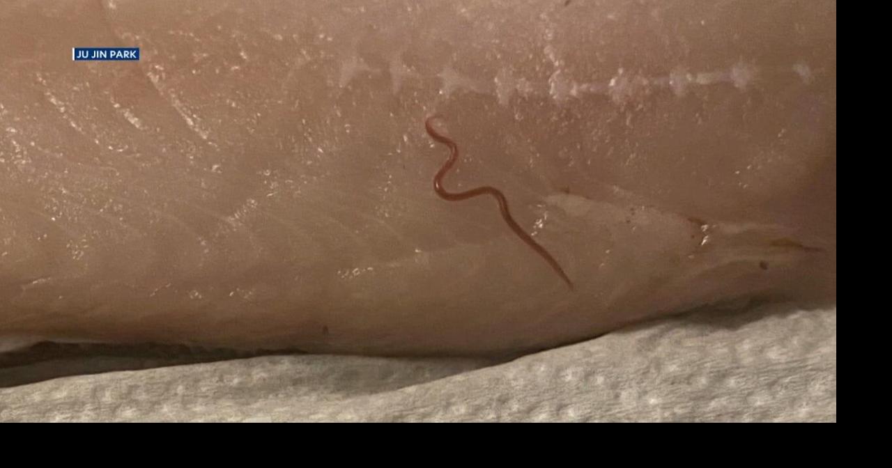 Parasite found in piece of fish from Whole Foods | Video | kitv.com
