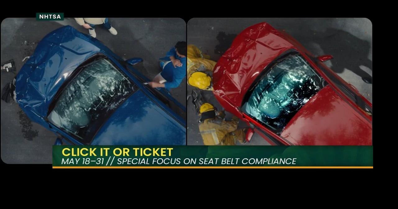 Driving With Aloha Includes Buckling Up For You & Your Passengers ...