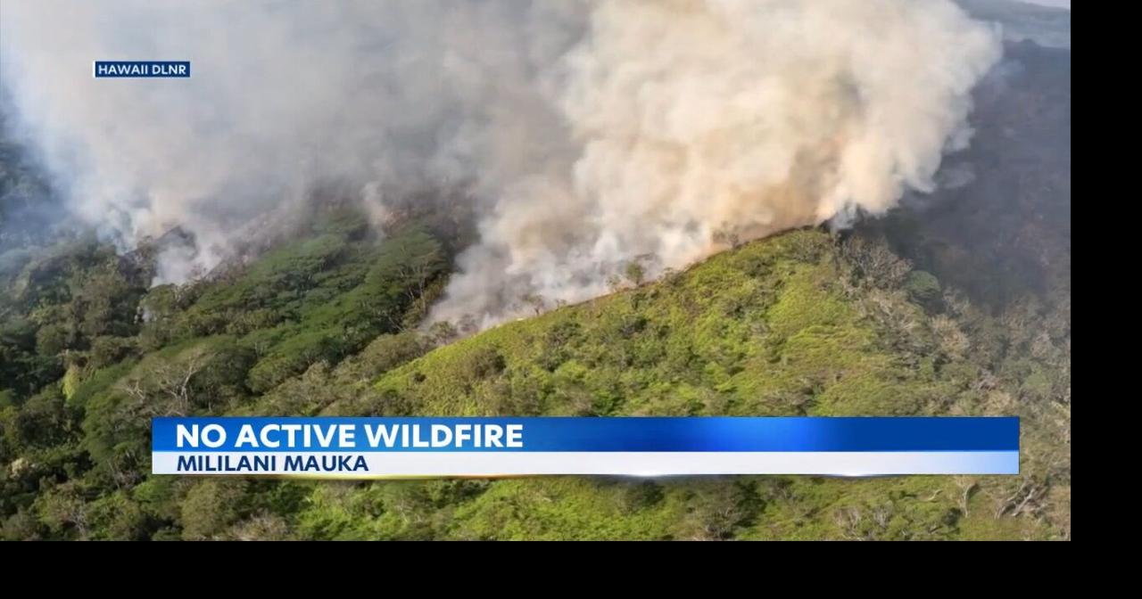 Mililani Mauka wildfire put out by heavy rains: No active fire reported ...