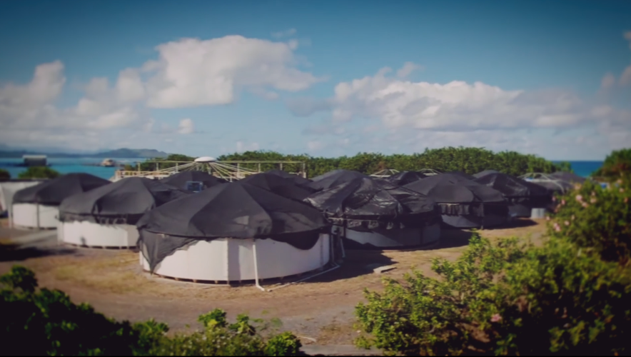 HPU's Oceanic Institute 'cultured fish' program aims to protect Hawaii ...
