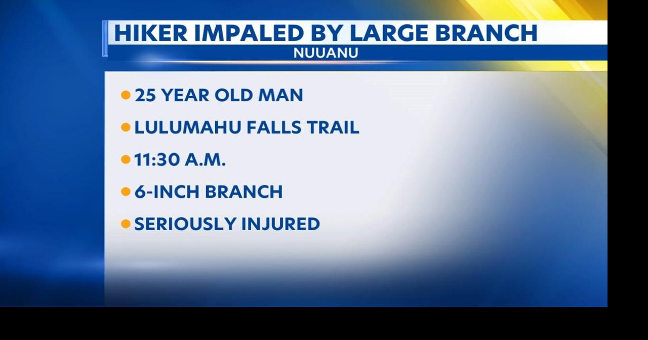 Hiker seriously injured after impaled by tree branch at Lulumahu Falls ...
